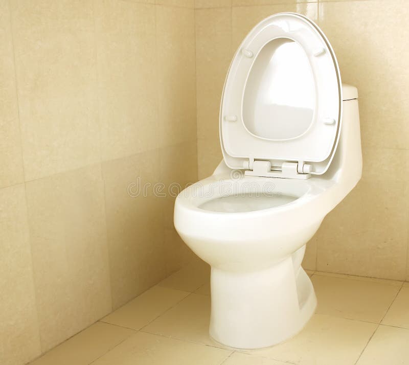 Lavatory stock photo. Image of cloakroom, indoors, bathroom - 10953916