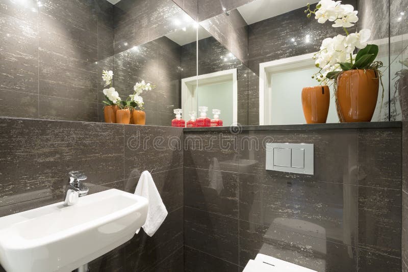 Public lavatory stock image. Image of bathroom, designer - 330009