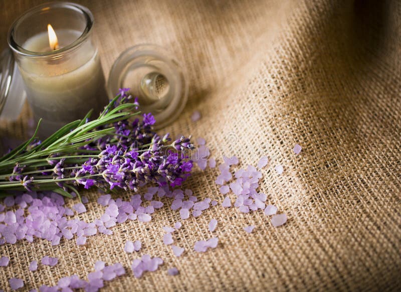 Lavender Aroma for Relaxation Stock Photo - Image of growth, beauty ...