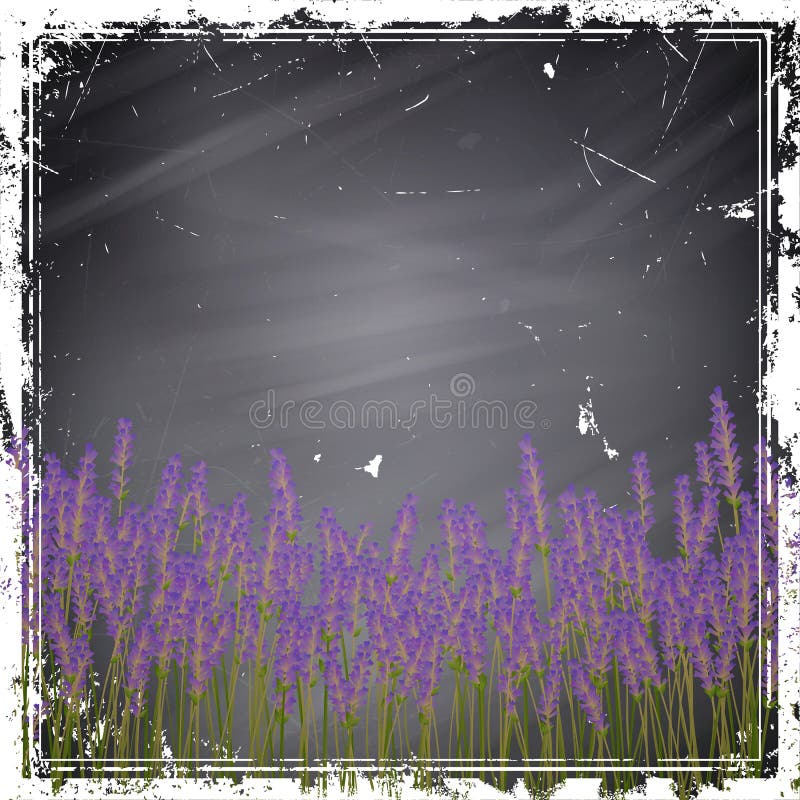 Lavender Background, Product Label Packaging Design Stock Vector ...