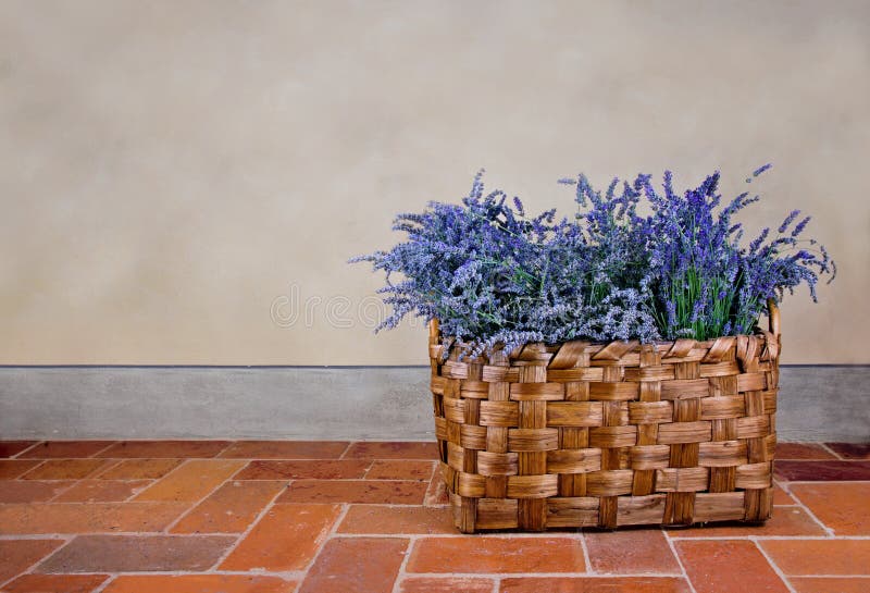 Bouquet of Lavender in a Metal Bucket Stock Image - Image of organic ...