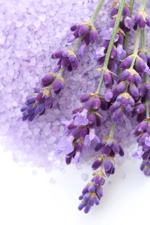 Lavender bath items. stock photo. Image of bunch, bath - 2335806