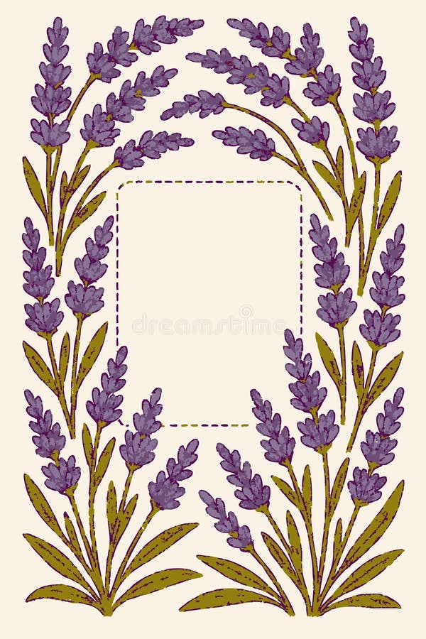 Lavender Border Botanical Floral Herb Illustration Nature Print Design ...