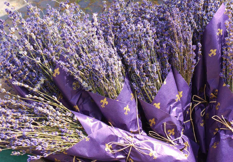 Lavender bouquets stock photo. Image of smell, bunch - 15741314