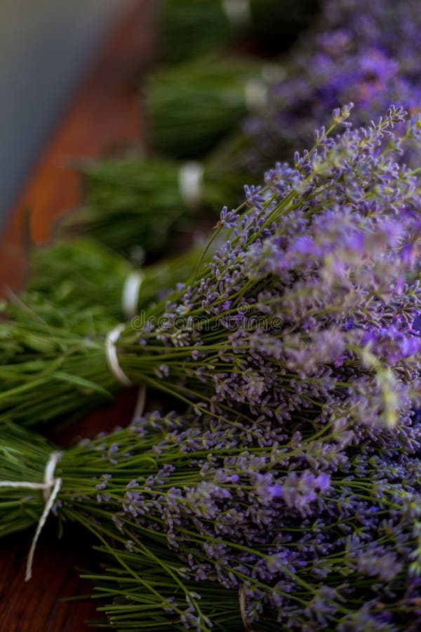 Lavender Bouquets on a Wooden Table Stock Image - Image of bunch ...