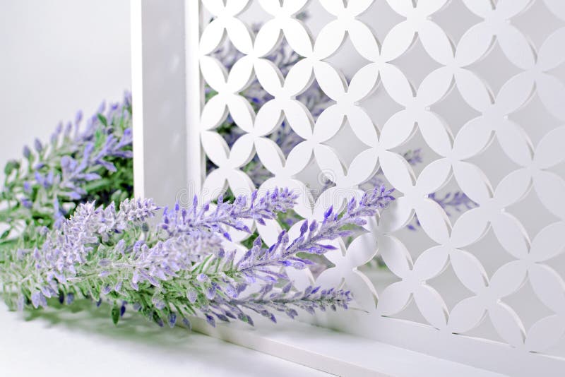 Lavender Branch on White Background Stock Photo - Image of herb ...