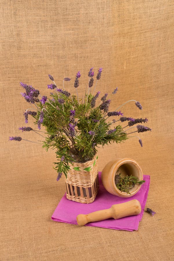 Lavender still life stock photo. Image of aromatic, flowers - 31533076