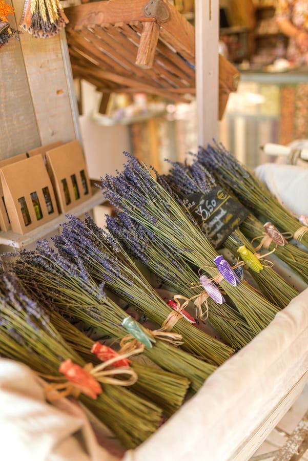 Lavender Bundle stock photo. Image of bloom, infusion, lavender - 458892