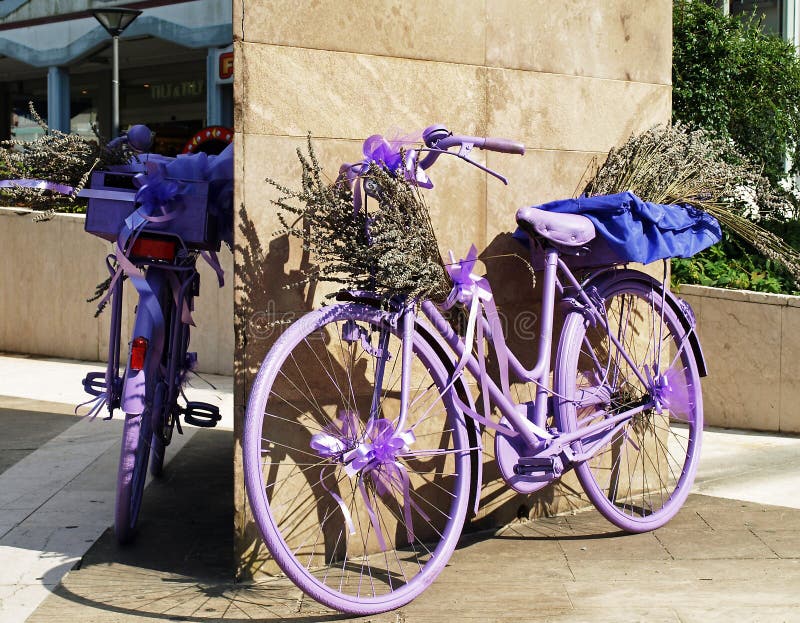 Lavender bycicle stock image. Image of lilac, bike, summer - 16413667
