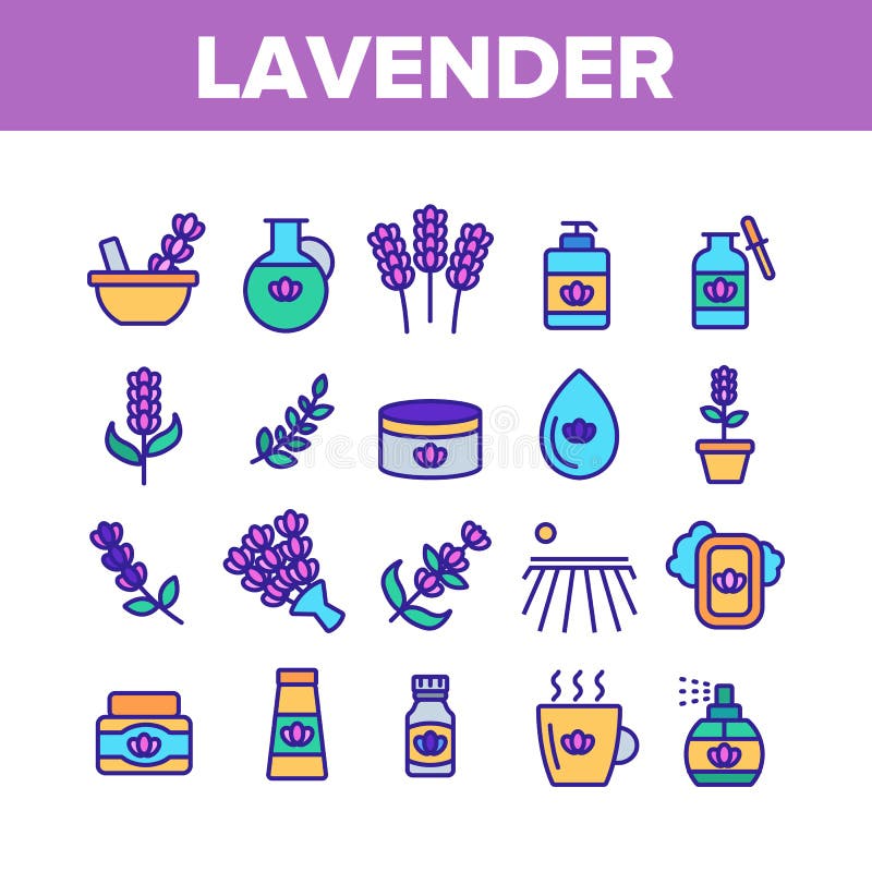 Lavender Collection Elements Icons Set Vector Stock Vector ...