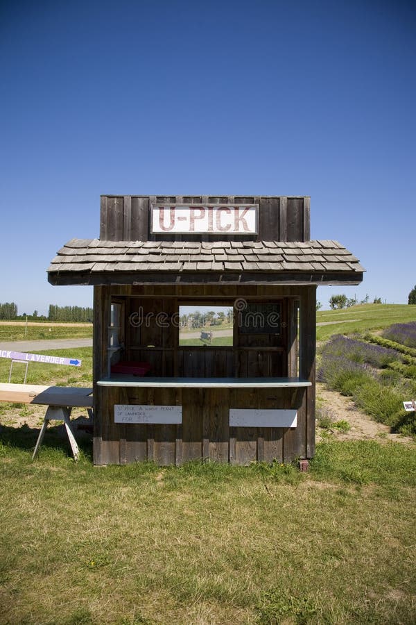 Amphitheater at Shelby Farms Park, Memphis Tennessee Editorial ...