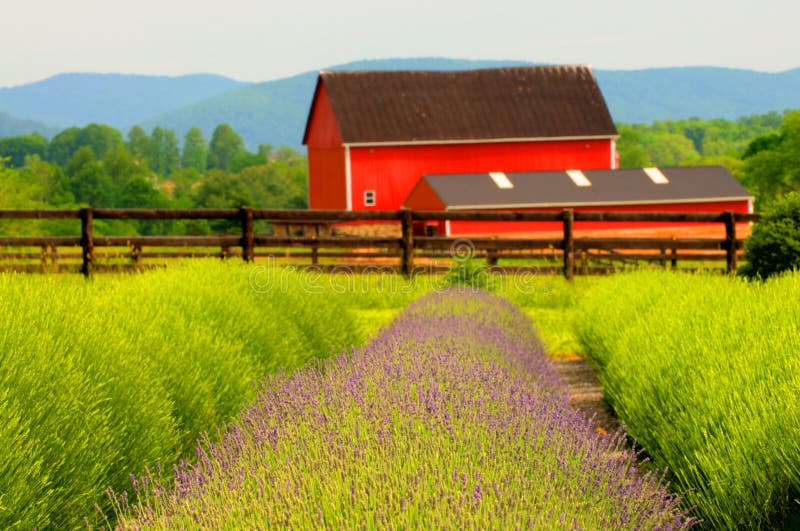 Old Red Barn on a Ranch or Farm in Western Montana Stock Photo - Image ...