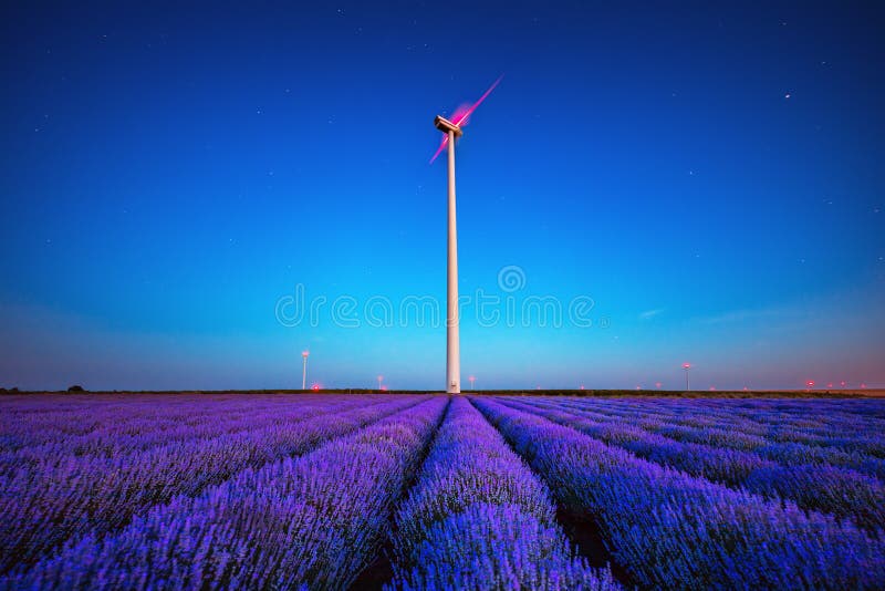 Lavender Field and Night Sky with Stars Stock Image - Image of provence ...