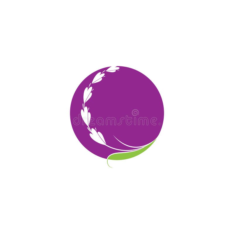 Lavender Floral Aromatic Logo Vector Icon Illustration Stock Vector ...