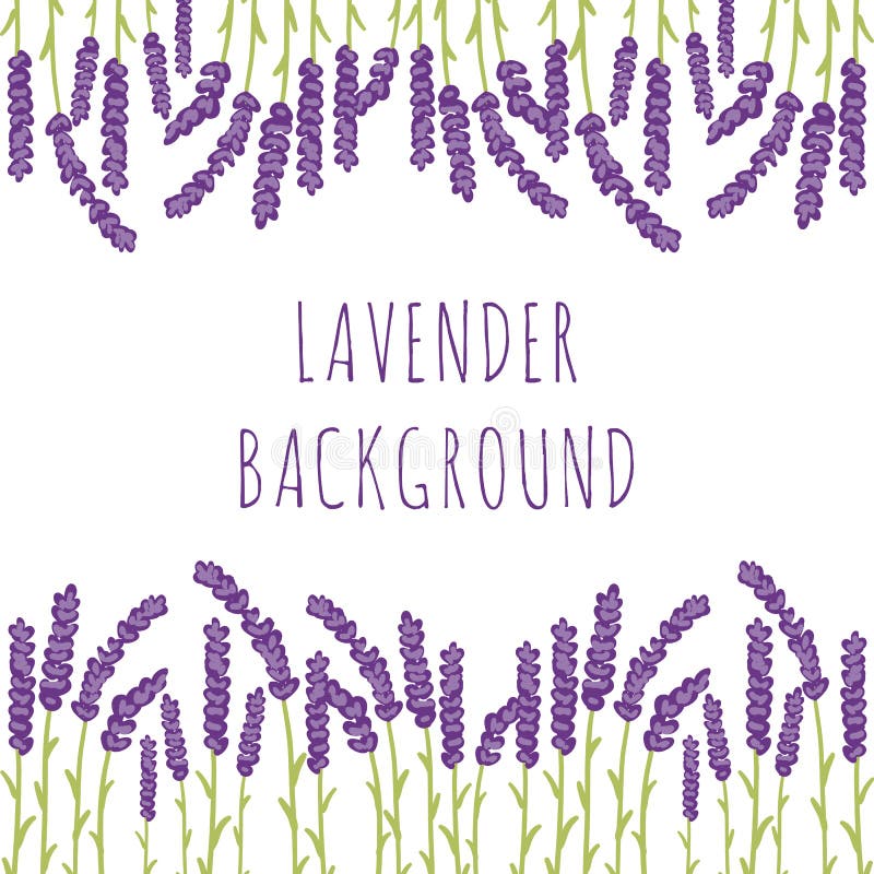 Illustration of Lavender Design Elements Stock Vector - Illustration of ...