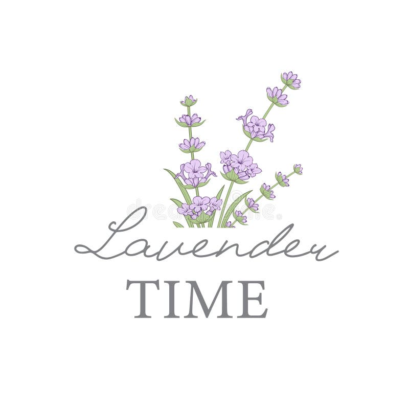 Lavender Flower Logo Design. Elegant Floral Sumbol Stock Illustration ...
