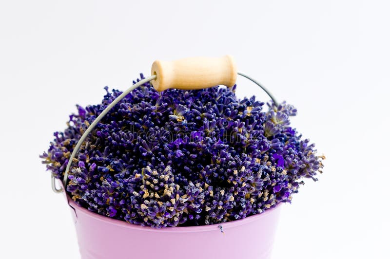 Purple bucket and spade stock image. Image of beach, rocks - 8917869