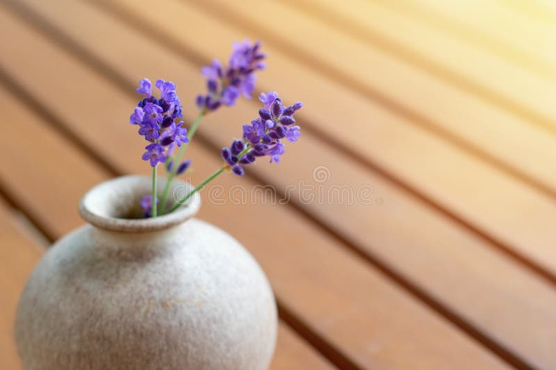Lavender Flower in the Vase on the Table Stock Photo - Image of ...