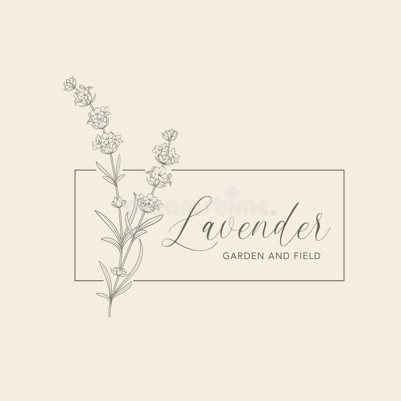 Lavender Flower Vector Logo. Floral Design Label Stock Illustration ...