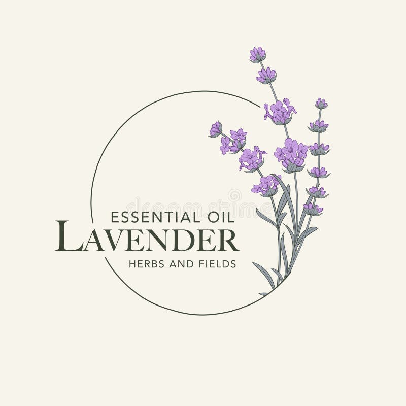Lavender Flower Vector Logo. Floral Design Label Stock Illustration ...