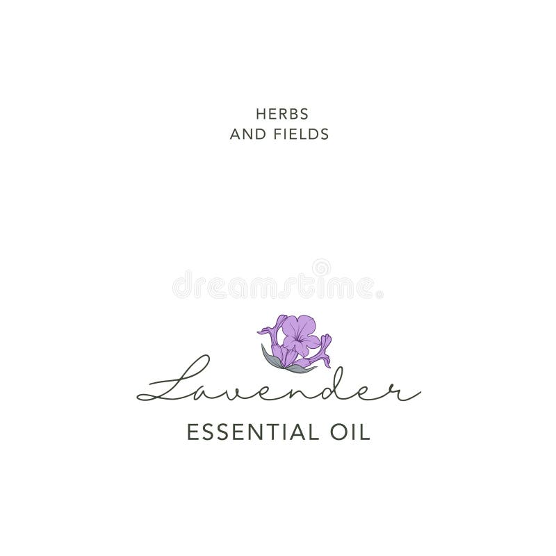 Lavender Flower Vector Logo. Floral Design Label Stock Vector ...