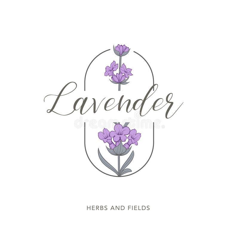 Lavender Flower Vector Logo. Floral Design Label Stock Vector ...