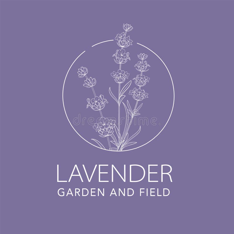 Lavender Flower Vector Logo. Floral Design Label Stock Vector ...