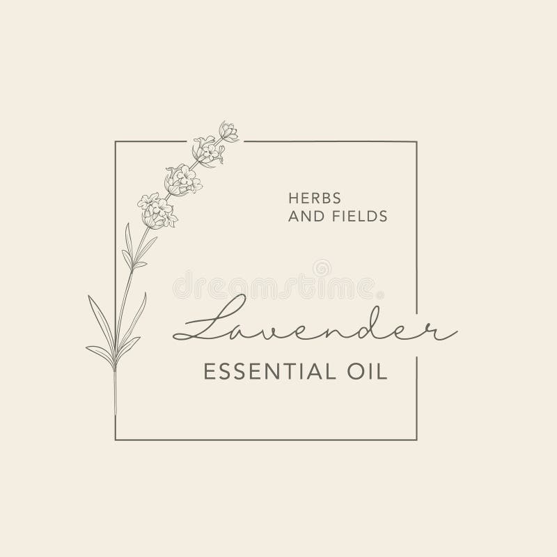 Lavender Flower Vector Logo. Floral Design Label Stock Vector ...