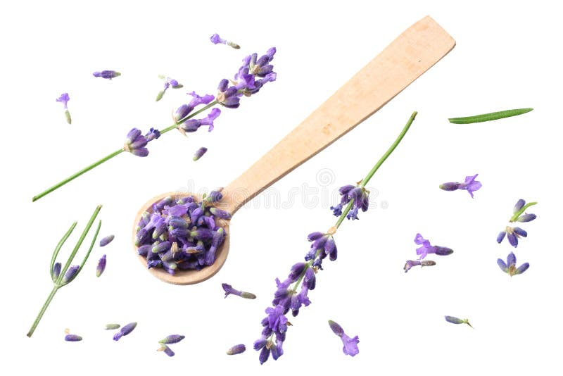 Lavender Top View Stock Illustrations – 754 Lavender Top View Stock ...