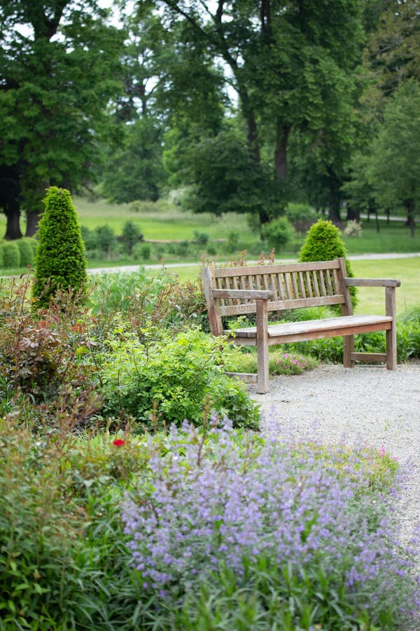 Lavender Flowers and Romantic Wooden Bench in Spring in Austria Stock ...