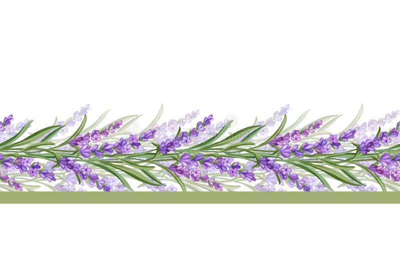 Lavender Flowers Seamless Border, Hand Drawn Frame for Card or ...