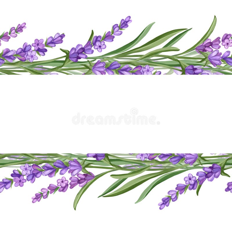 Lavender Flowers Seamless Border, Hand Drawn Frame for Card or ...