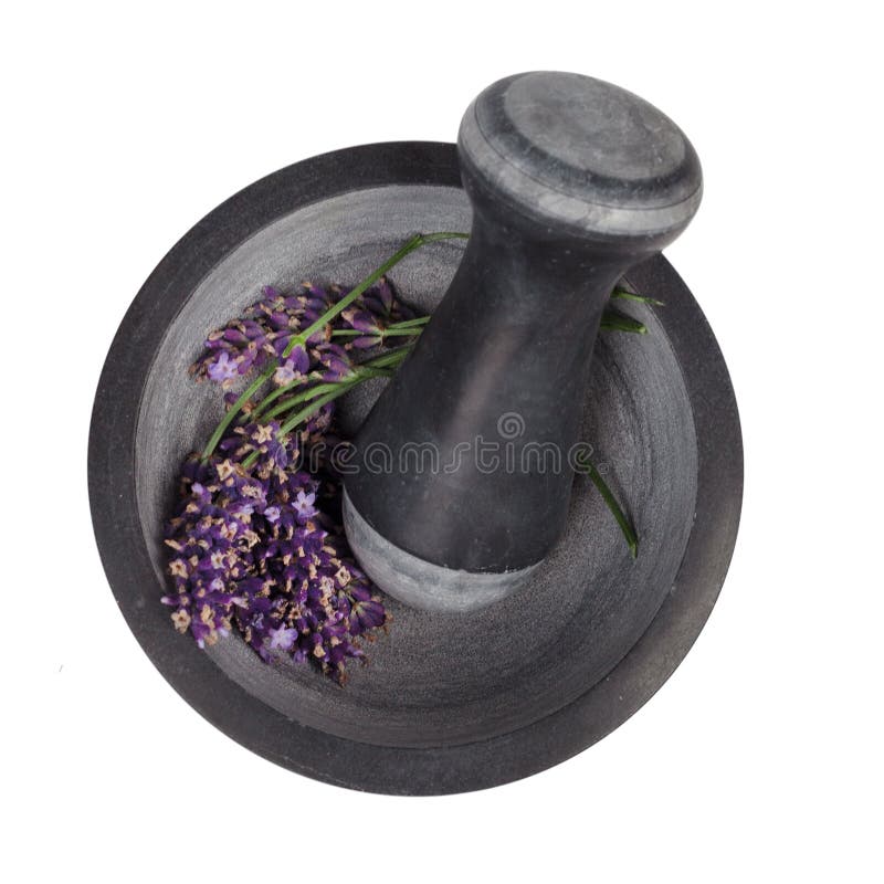 Lavender Flowers in Stone Mortar Stock Photo - Image of petals, stone ...