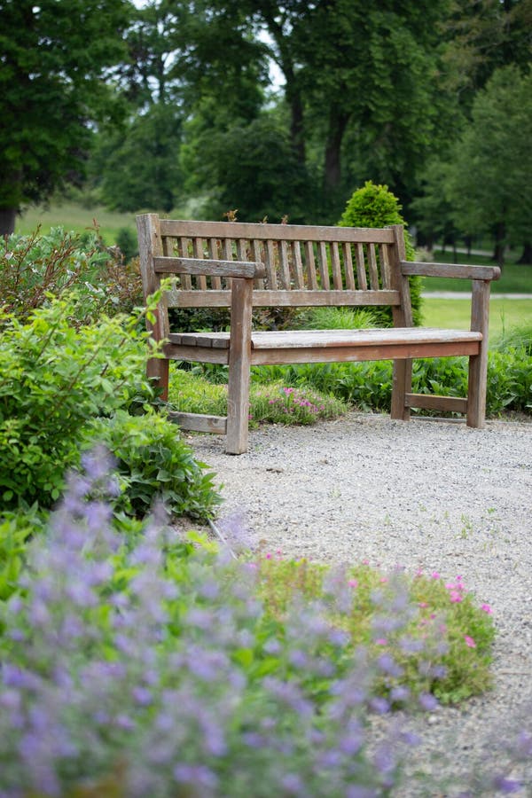 Lavender Flowers and Park Bench in Spring in Austria Stock Image ...