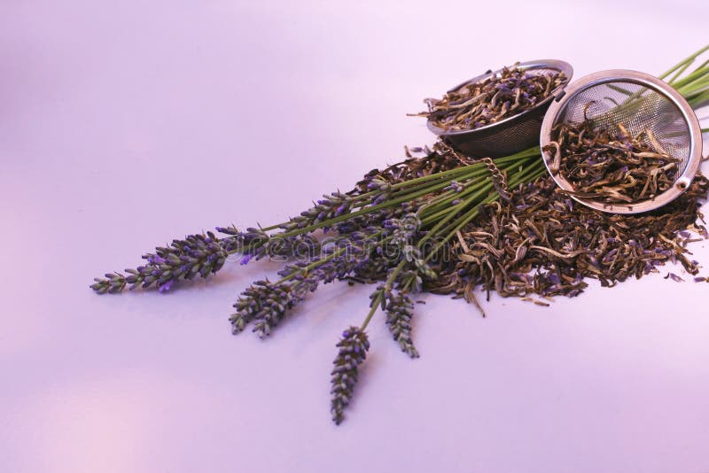 Lavender: fresh & tea stock image. Image of herbal - 2778121