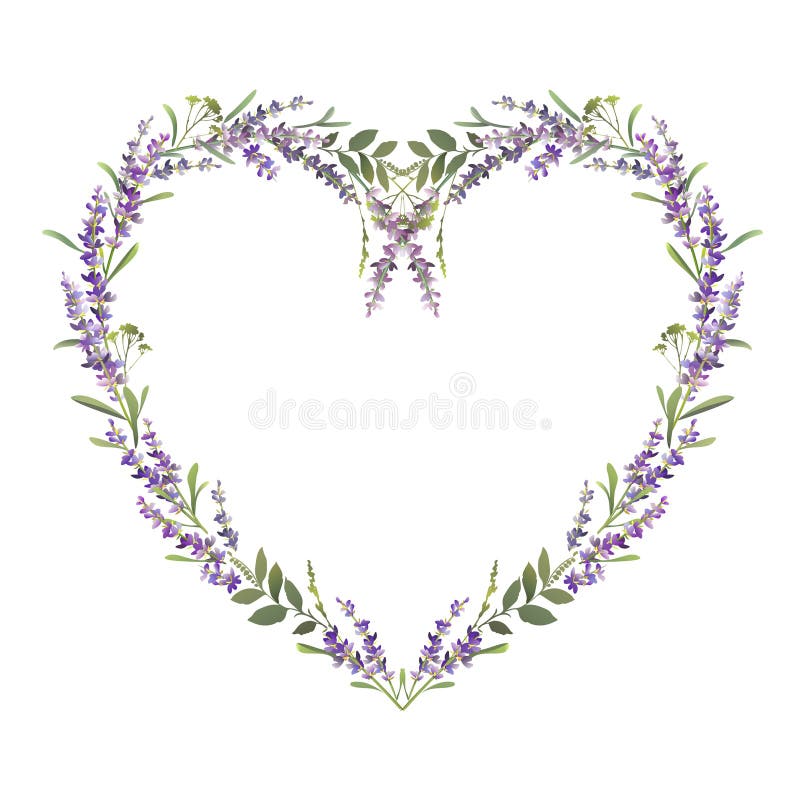 Lavender Heart. Lavender Frame Design Stock Vector - Illustration of ...