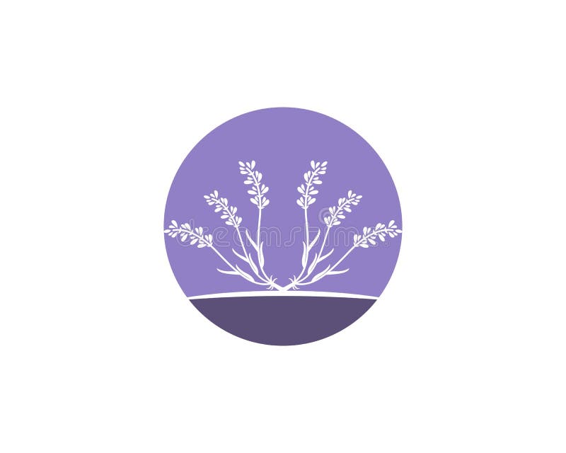 Lavender Icon Logo Design Vector Template Illustration Stock Vector ...
