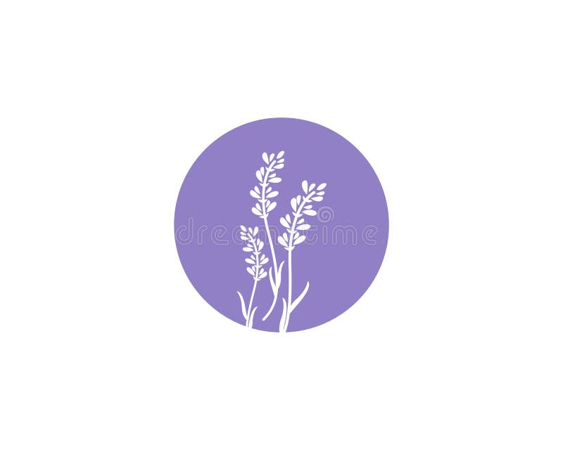 Lavender Icon Logo Design Vector Template Illustration Stock Vector ...