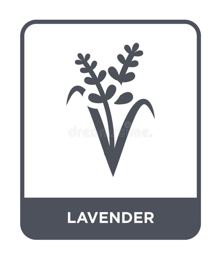 Lavender Icon in Trendy Design Style. Lavender Icon Isolated on White ...