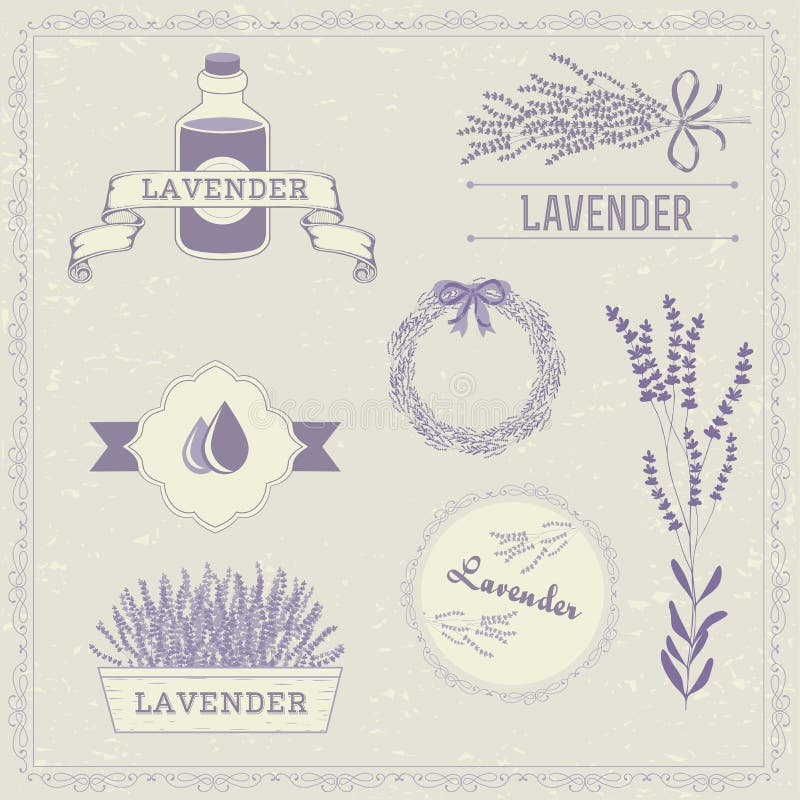 Lavender Background, Product Label Packaging Design Stock Vector ...