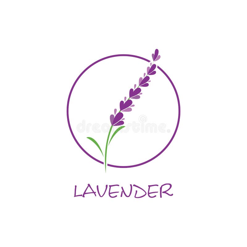 Lavender logo stock illustration. Illustration of herb - 180898475