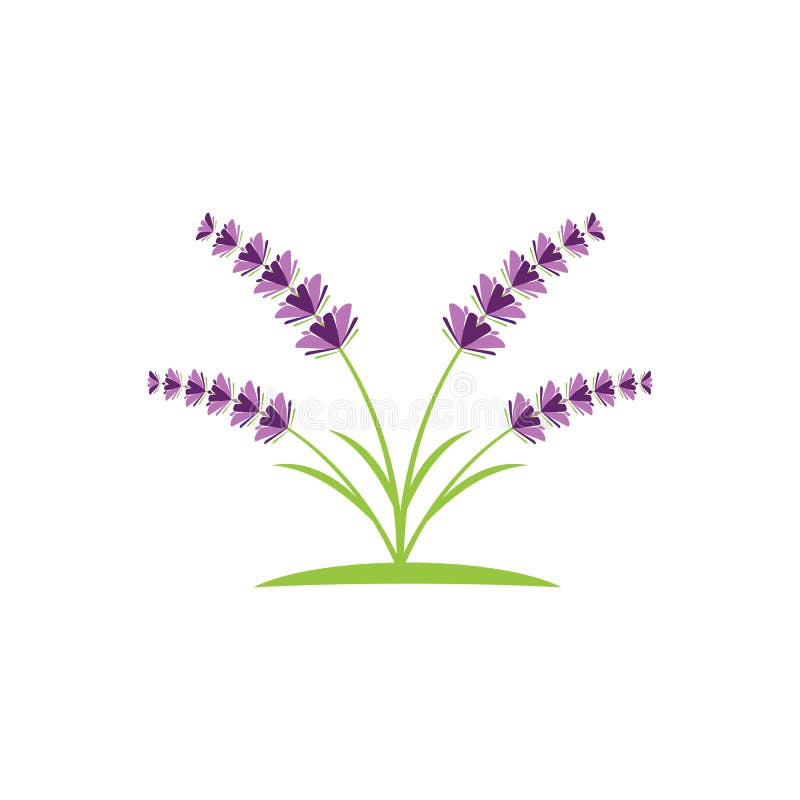 Lavender Logo Template Vector Symbol Stock Vector - Illustration of ...