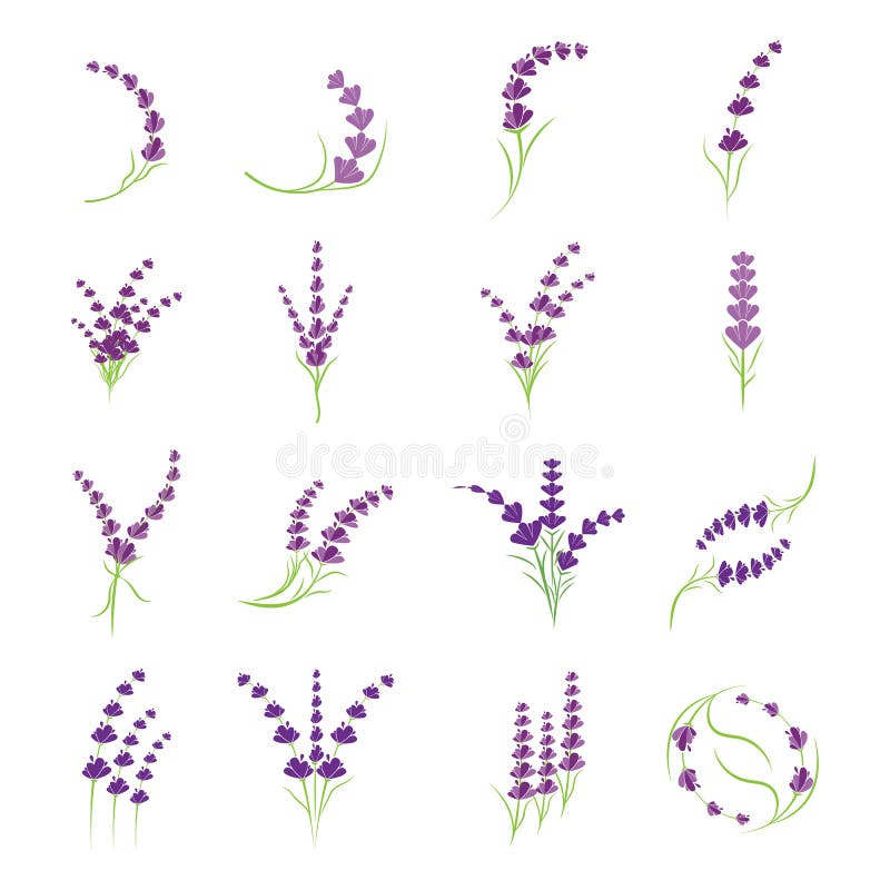 Lavender Logo Template Vector Symbol Nature Stock Vector - Illustration ...
