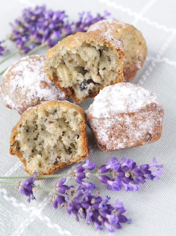 Lavender muffins stock image. Image of lavender, snack - 25589955