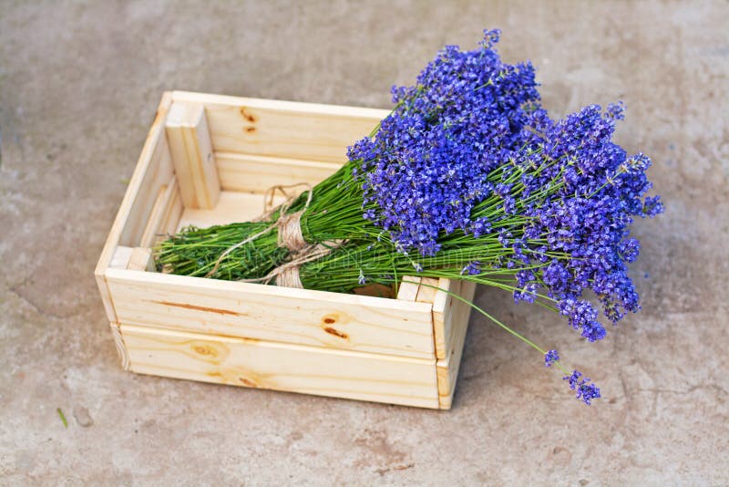 Lavender in New Yellow Wooden Box Stock Image - Image of blank ...