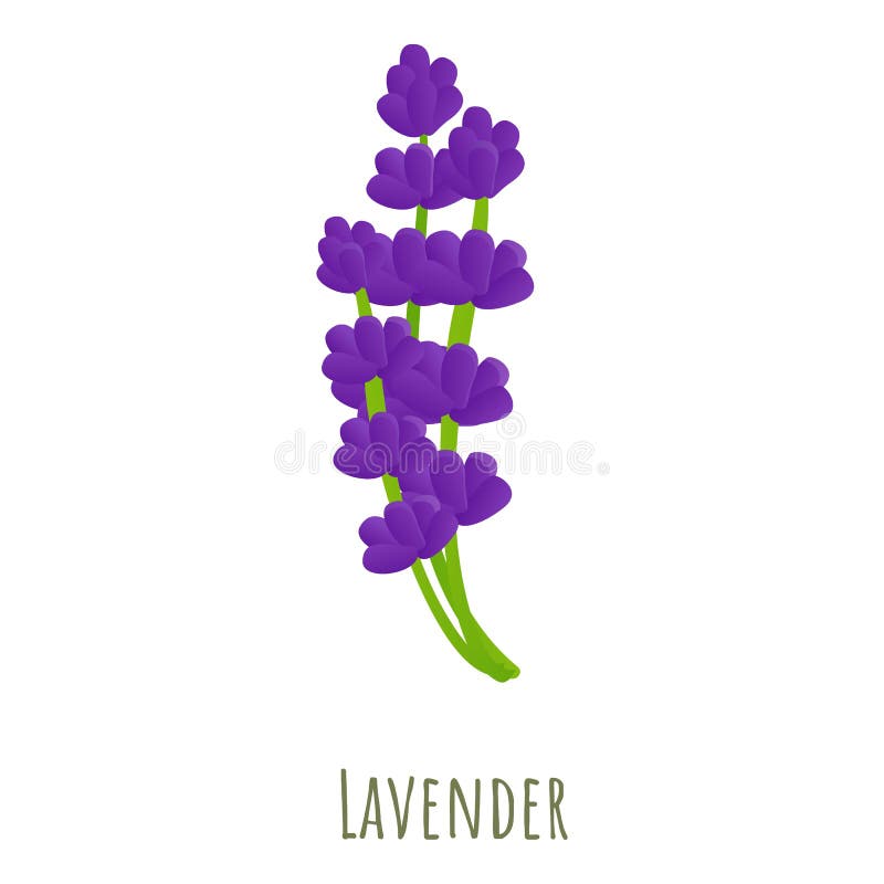 Purple Lavender Flower Icon, Cartoon Style Stock Vector - Illustration ...
