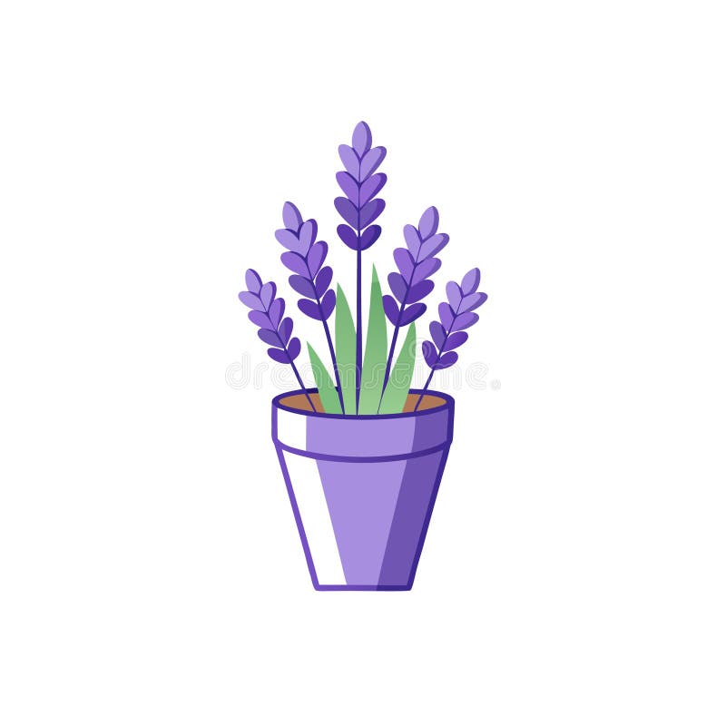 Lavender Plant in Purple Pot Icon Illustration Stock Illustration ...