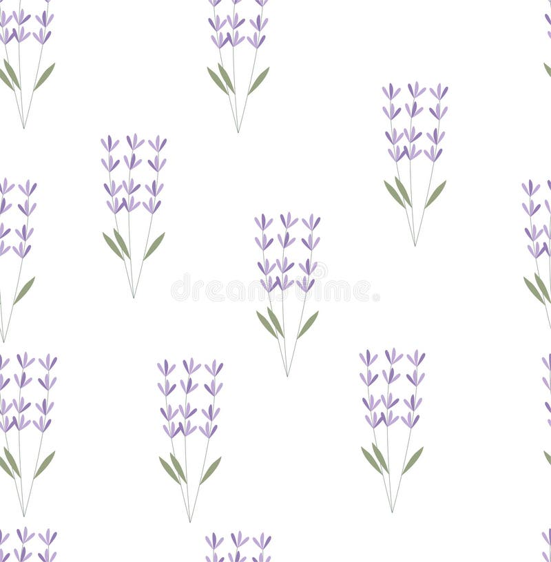 Lavanda Flower Stock Illustrations – 476 Lavanda Flower Stock ...