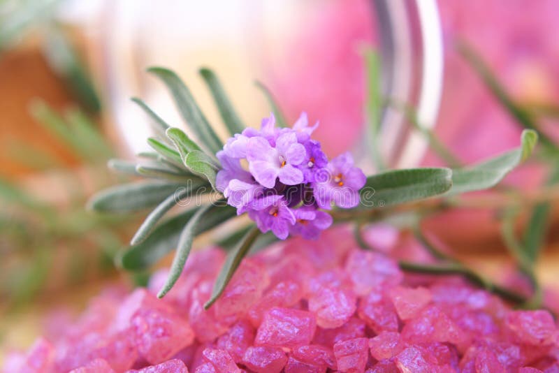 Lavender SPA stock image. Image of home, leaf, luxury - 1448599
