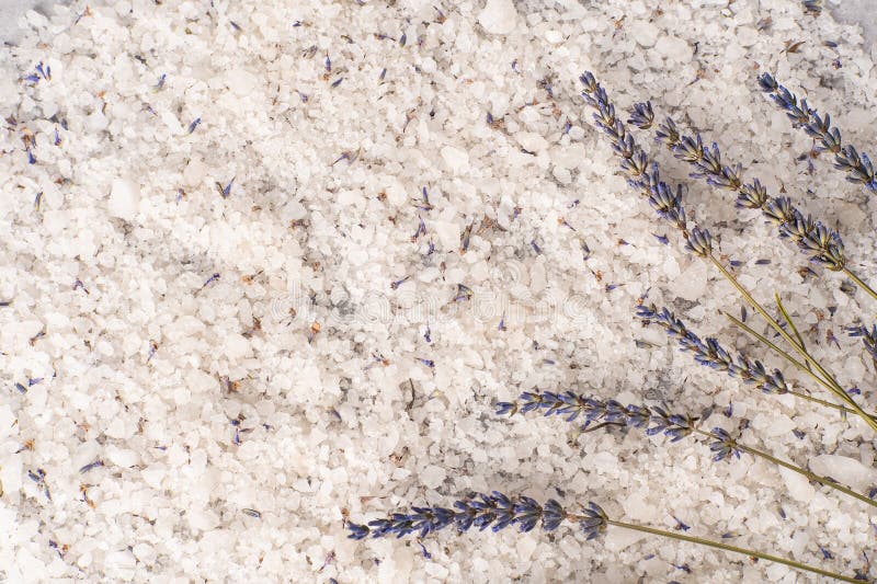 Lavender Salt for cooking stock image. Image of therapy - 286169727